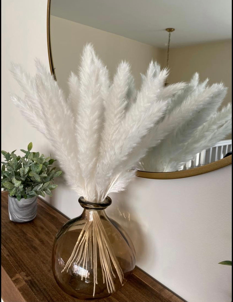 Small Pampas – Wild Pampas